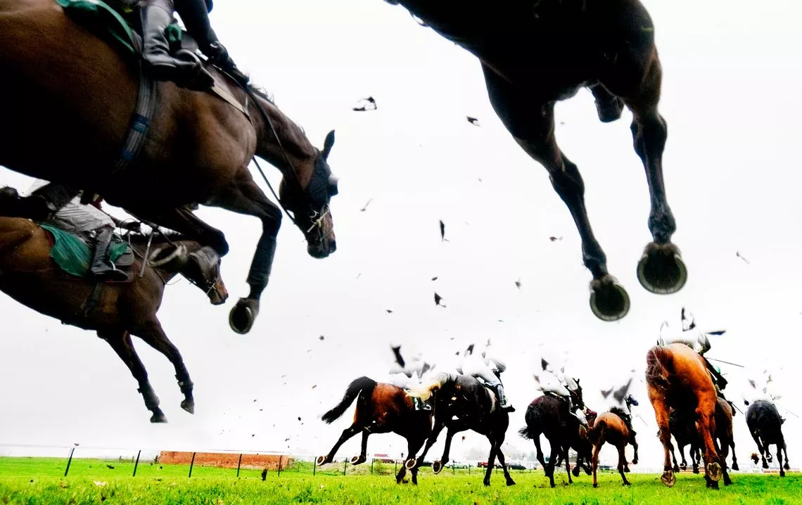 Wygrane w wyścigach konnych